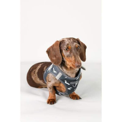 [15% OFF] Moo + Twig Vegan Leather Step in Harness The Twiggy Charcoal ...